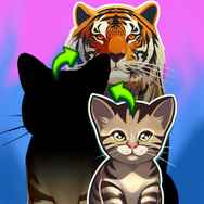 Animal Evolution Simulator 🕹️ Play Now for Free | RocketGames