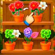 Water Sort Puzzle 🕹️ Play Now for Free | RocketGames